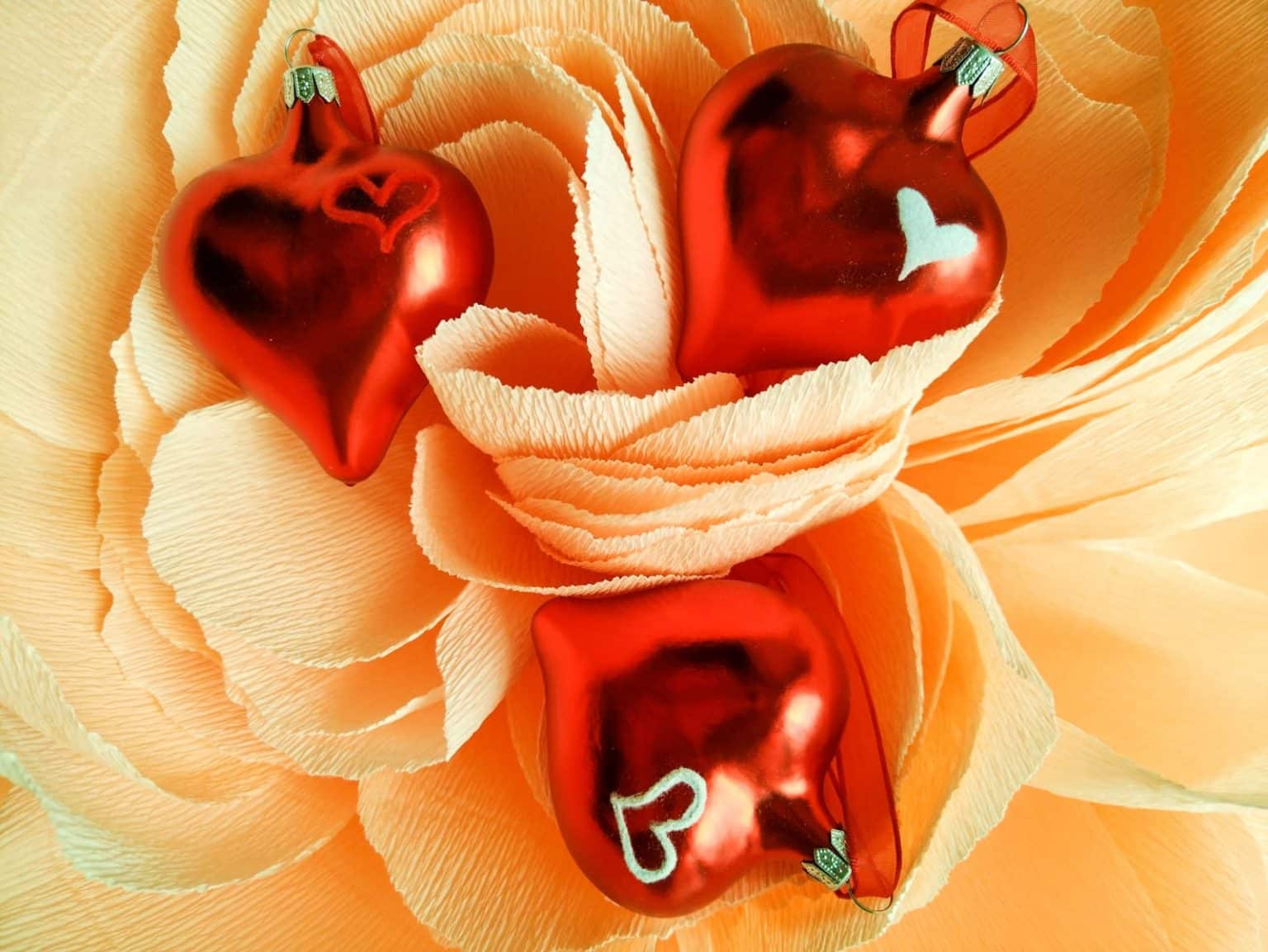 Srdce v srdci - Vize 97